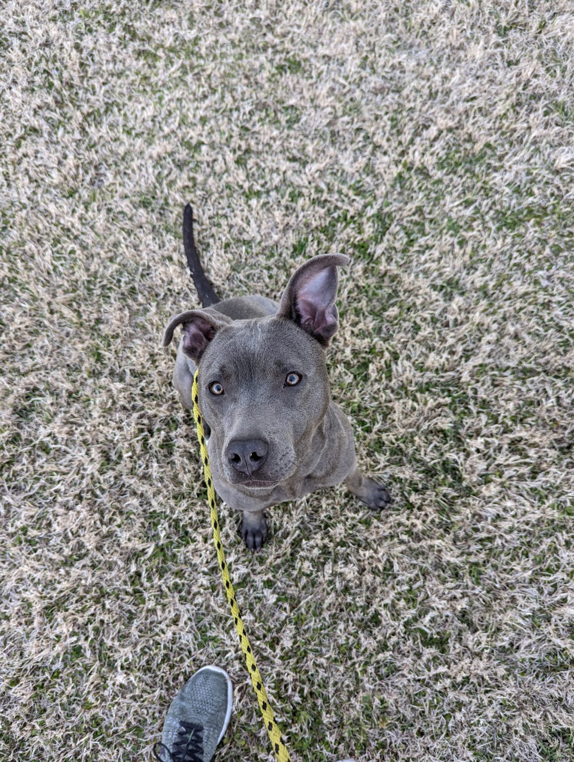 Specialty Training - Starmark Academy