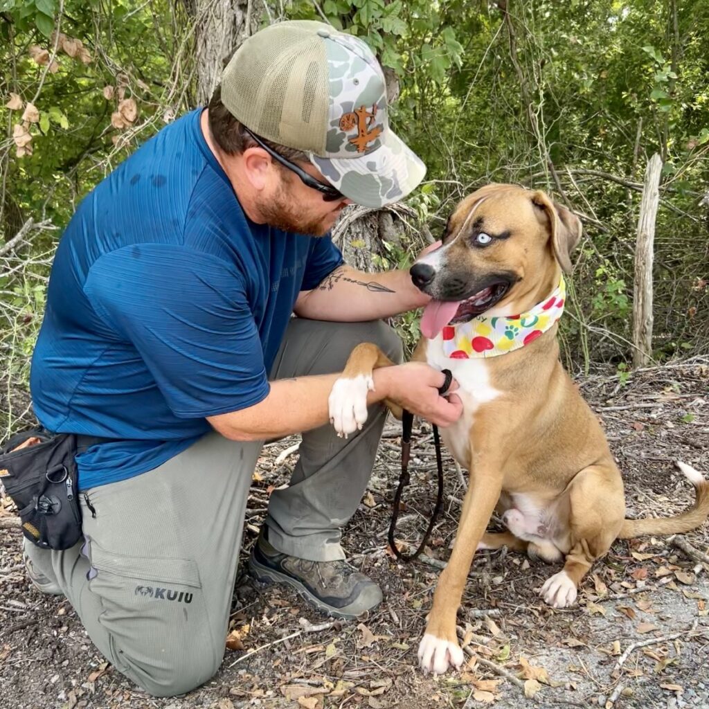 Rescue Dogs - Starmark Academy